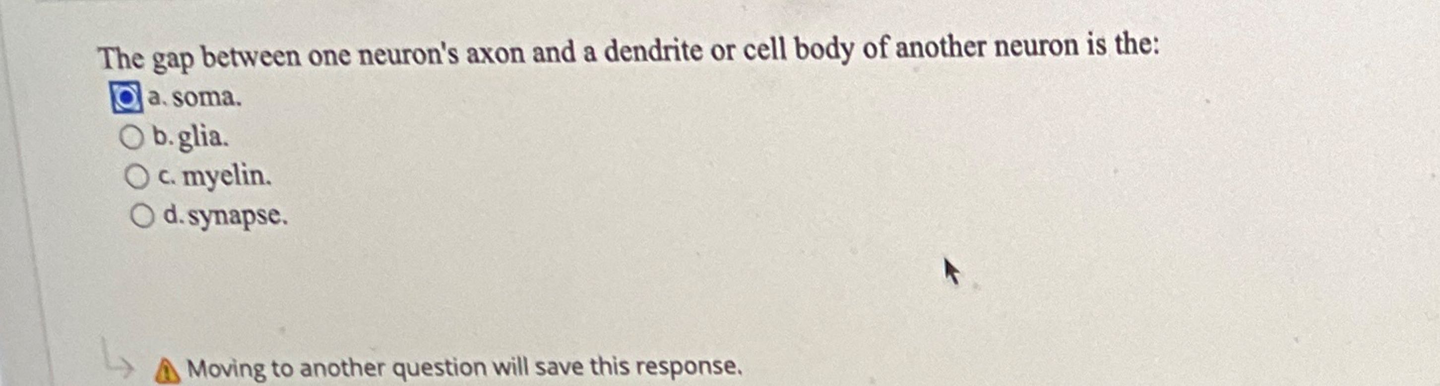 Solved The gap between one neuron's axon and a dendrite or | Chegg.com