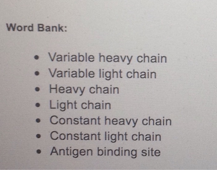 Solved Word Bank: Variable heavy chain . Variable light | Chegg.com