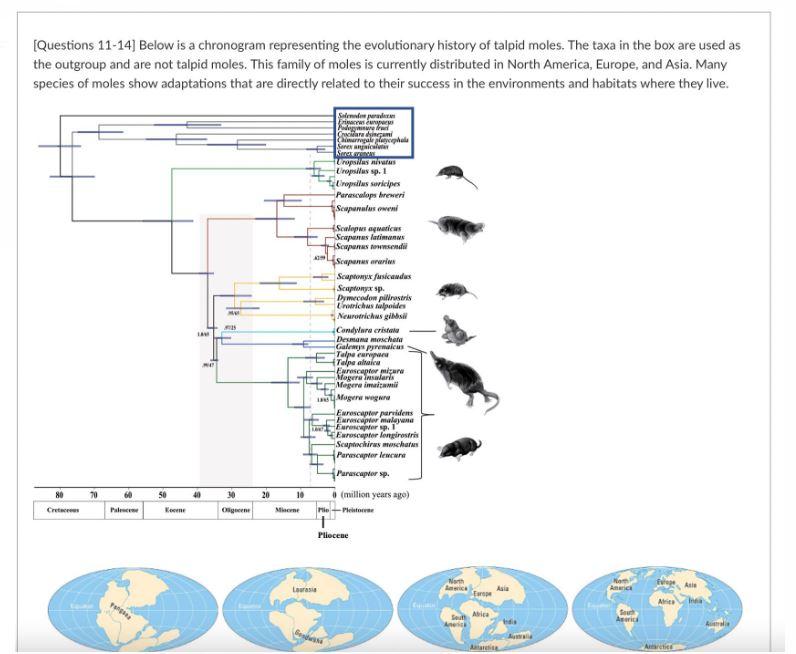 Solved [Questions 11-14] Below is a chronogram representing | Chegg.com