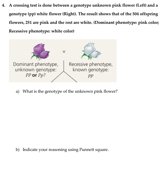 Solved A crossing test is done between a genotype unknown | Chegg.com