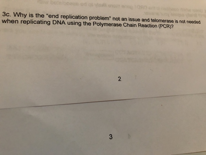 Solved 3c. Why is the "end replication problem" not an issue | Chegg.com