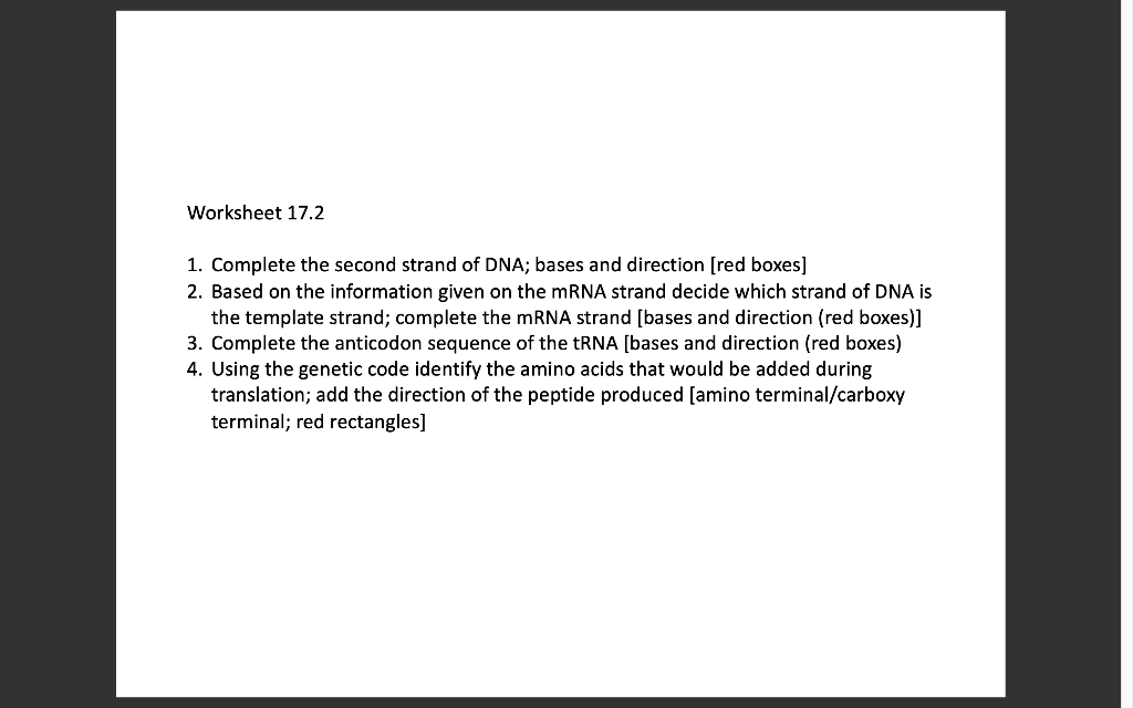 Solved Worksheet 17.2 1. Complete the second strand of DNA; | Chegg.com