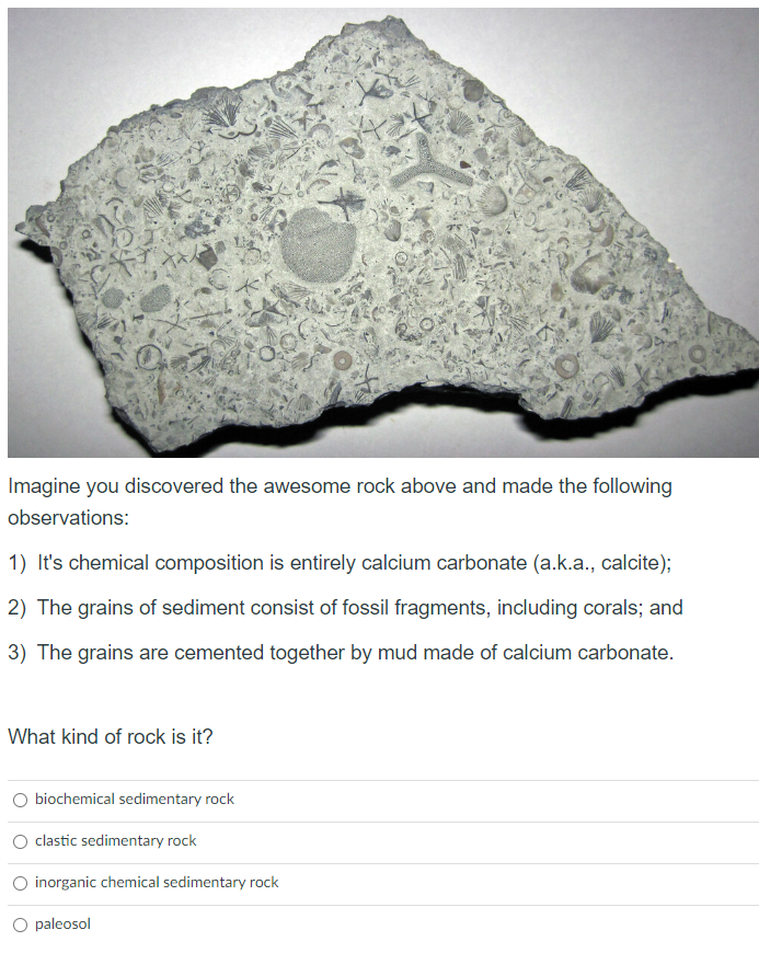Solved Imagine you discovered the awesome rock above and | Chegg.com