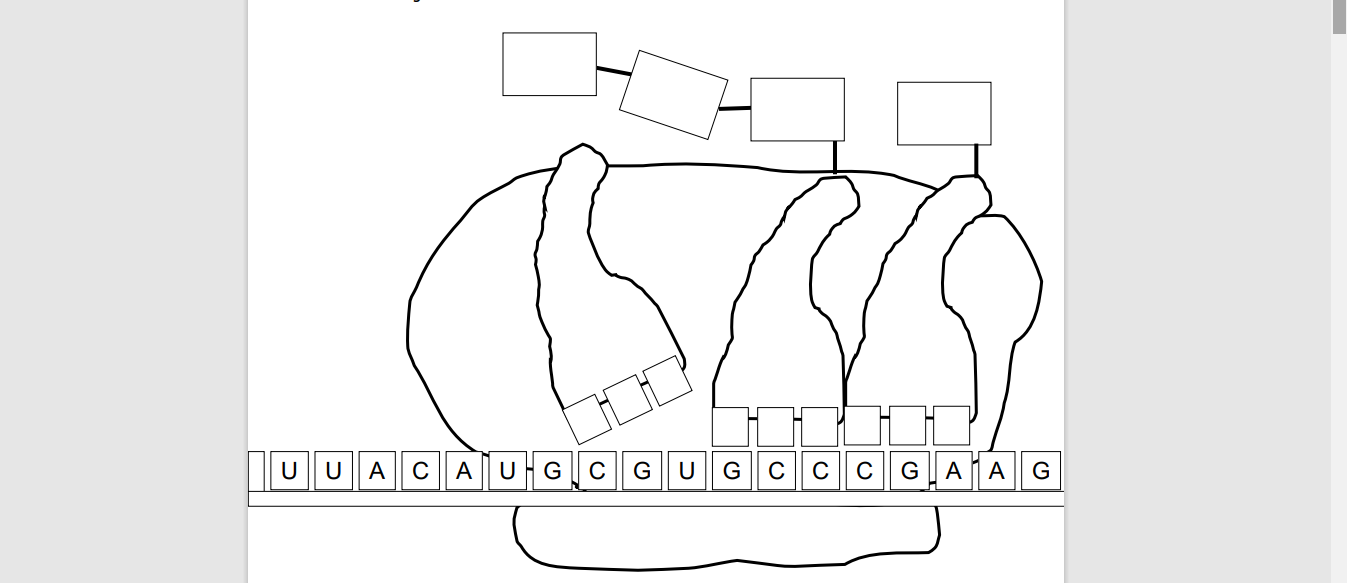 Solved Complete this diagram of the translation machinery of | Chegg.com