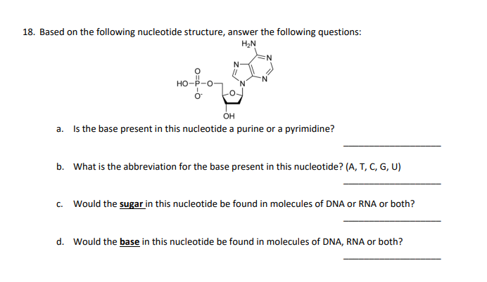 Solved 18. Based on the following nucleotide structure, | Chegg.com