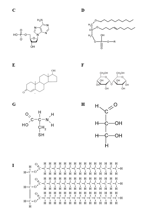 Solved 7. Classify each structure (below) as belonging to | Chegg.com
