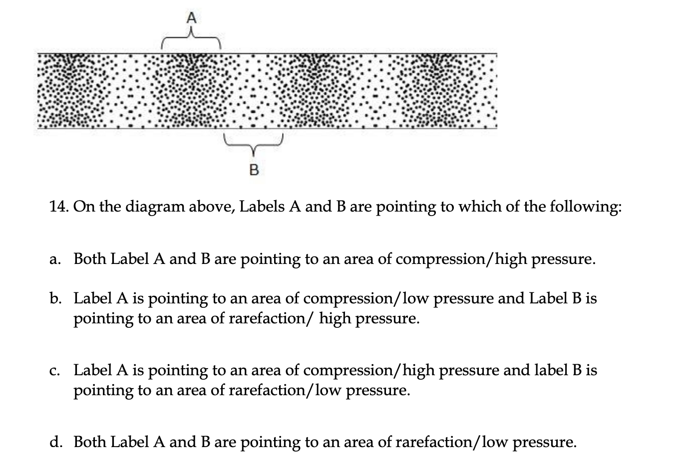 Solved 14. On the diagram above, Labels A and B are pointing | Chegg.com