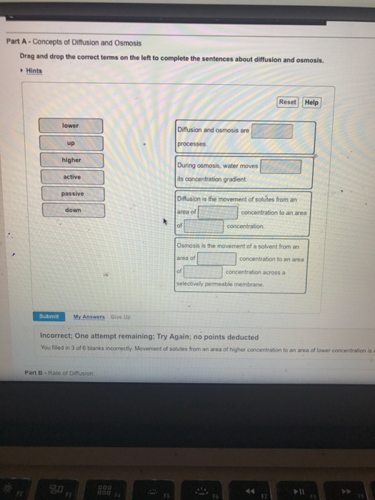 Solved Drag and drop the correct terms on the left to | Chegg.com