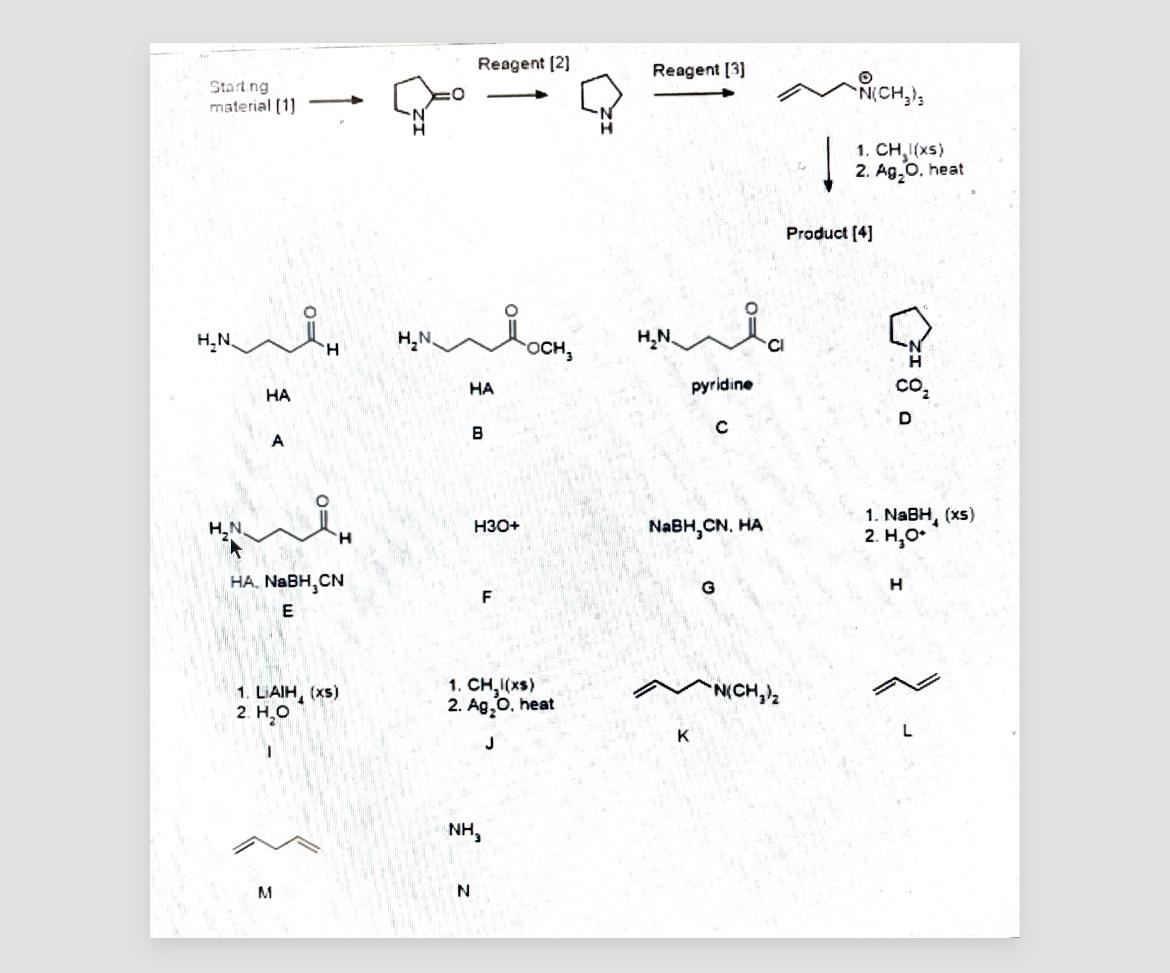 Solved The starting material (1) is The reagent (2) is The | Chegg.com