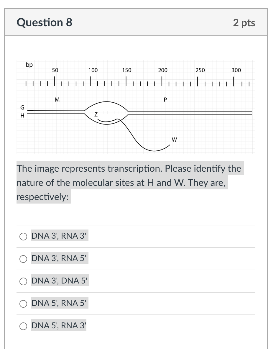 Solved Question 8The image represents transcription. Please | Chegg.com