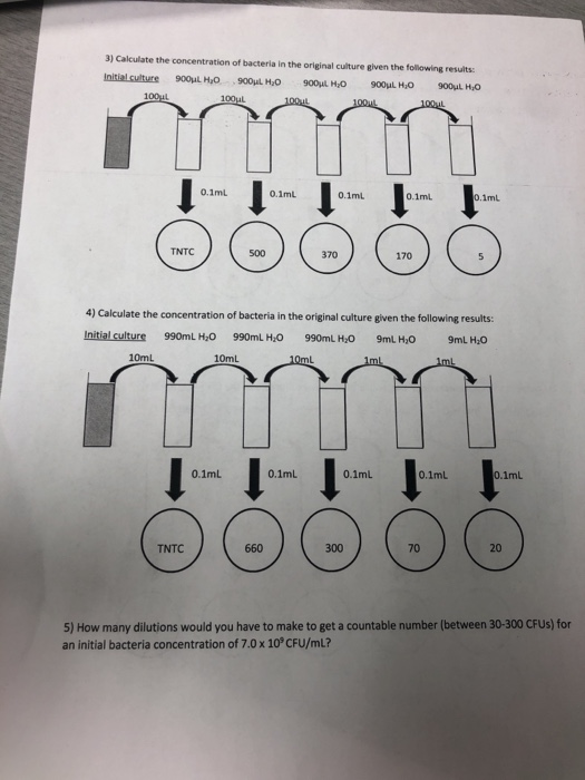 Solved 3) Calculate the concentration of bacteria in the | Chegg.com