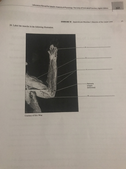 Solved Laboretony Manual for Saladin Anatomy&Physiology The | Chegg.com