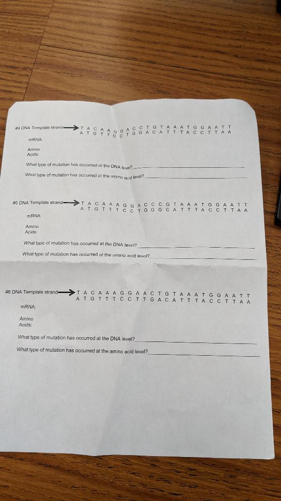 Solved Name: Date: Instructions: Number 1 is your wild-type | Chegg.com