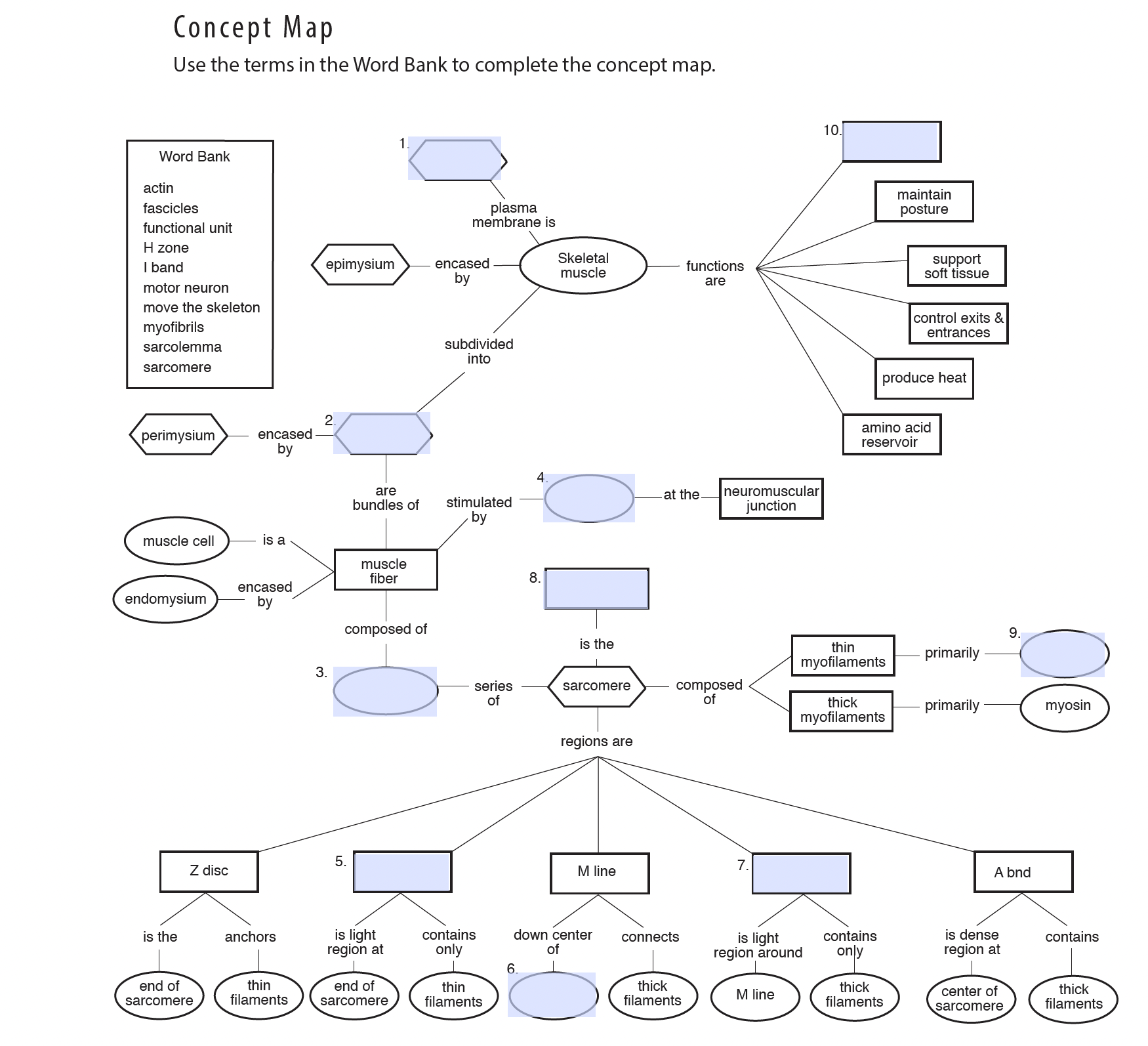Solved Concept Map Use the terms in the Word Bank to | Chegg.com
