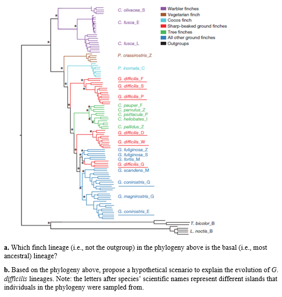 Solved Gene trees Species tree locus 1 locus 2 А в c А в с | Chegg.com