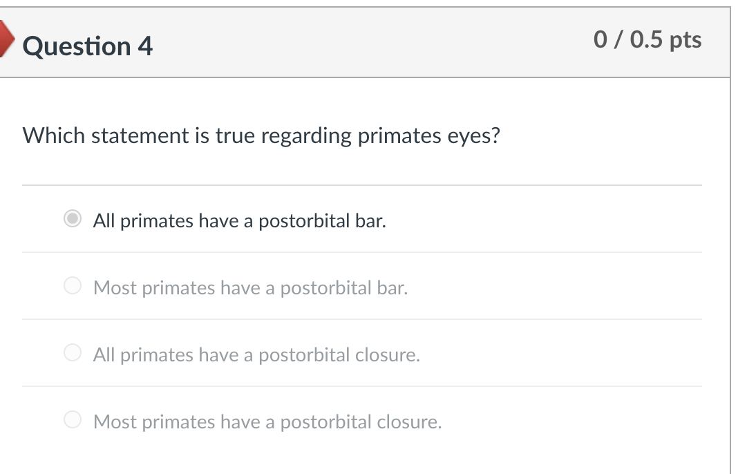 Which statement is true regarding primates eyes? All | Chegg.com