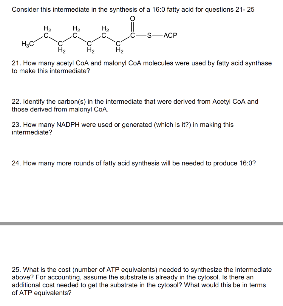 Solved Consider this intermediate in the synthesis of a 16:0 | Chegg.com