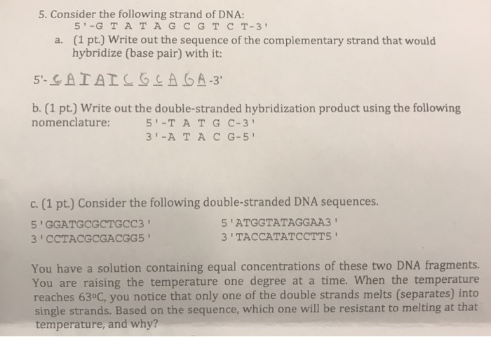 Solved 5. Consider the following strand of DNA: 5'-G TATAGCG | Chegg.com