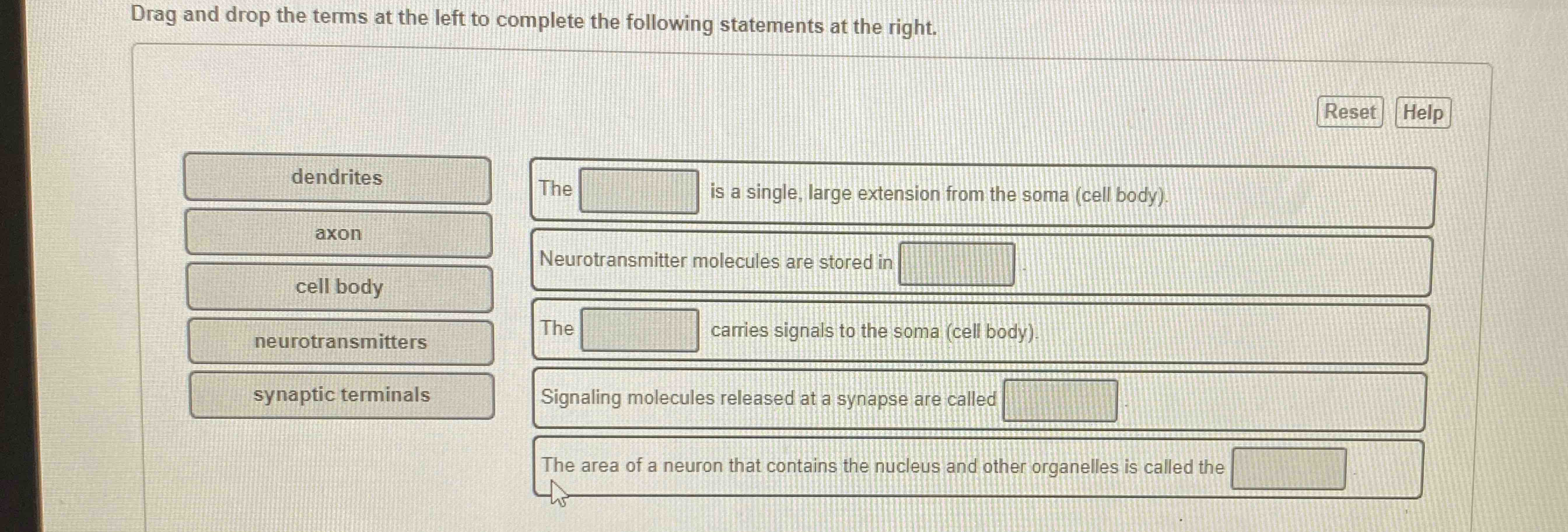 Solved Drag and drop the terms at the left to complete the | Chegg.com