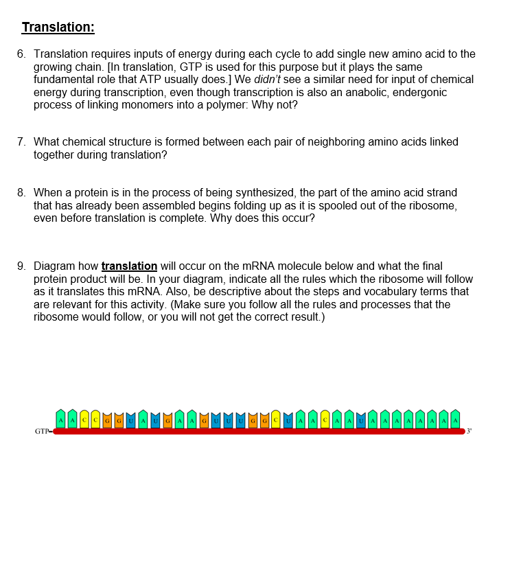 Solved Translation: 6. Translation requires inputs of energy | Chegg.com