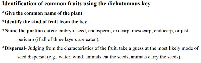 Solved Identification of common fruits using the dichotomous | Chegg.com