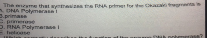 Solved The enzyme that synthesizes the RNA primer for the | Chegg.com