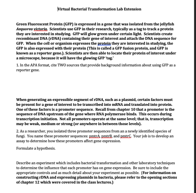 Solved Virtual Bacterial Transformation Lab Extension Green | Chegg.com