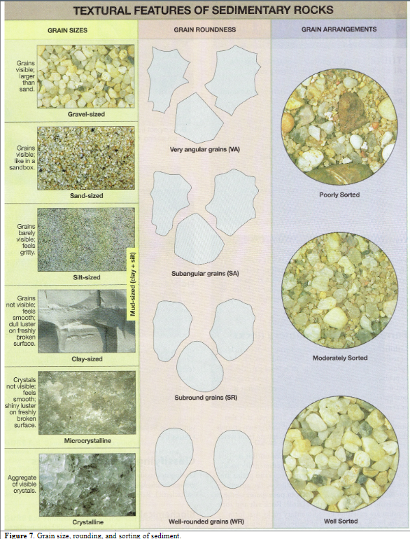 Solved 1) Describe the degree of rounding and sorting for | Chegg.com
