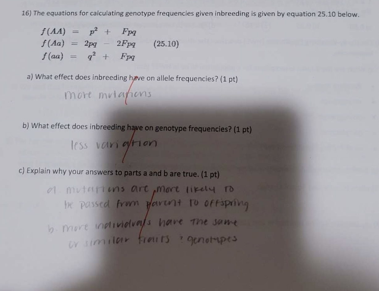Solved The equations for calculating genotype frequencies | Chegg.com