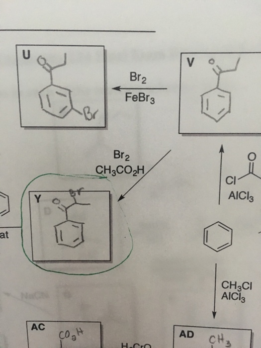 Solved Br2 FeBr3 Br2 CH3CO2H Cl AlCl3 at CH3Cl AICl AC coaH | Chegg.com