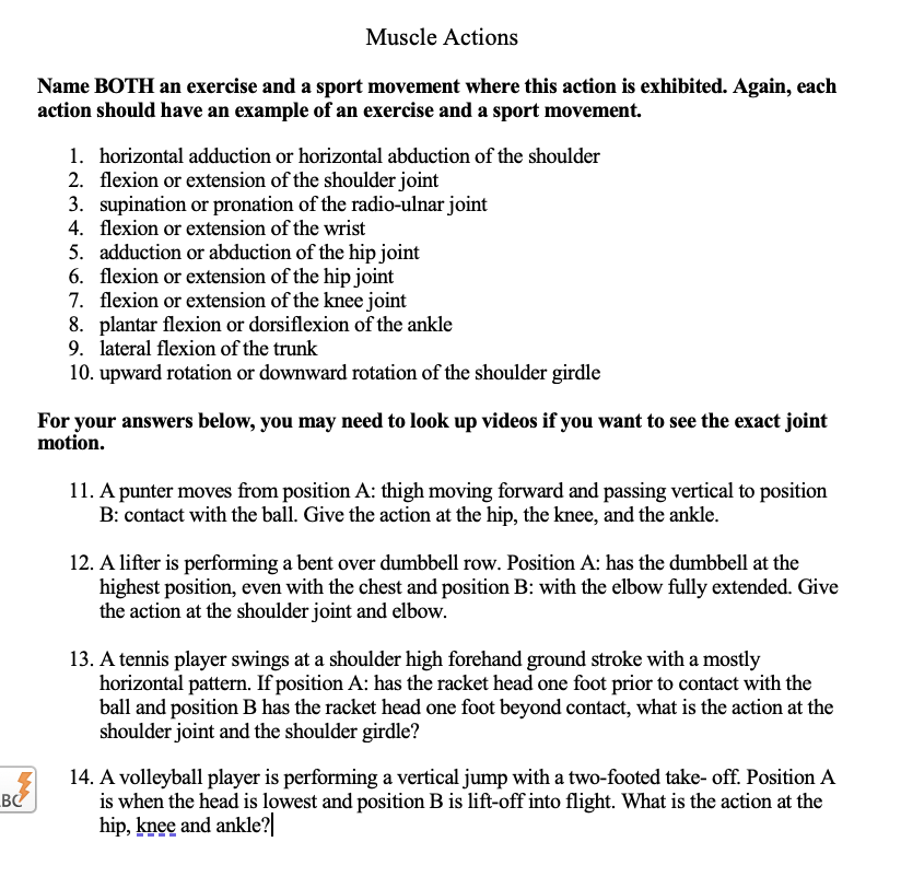 solved-muscle-actions-name-both-an-exercise-and-a-sport-chegg