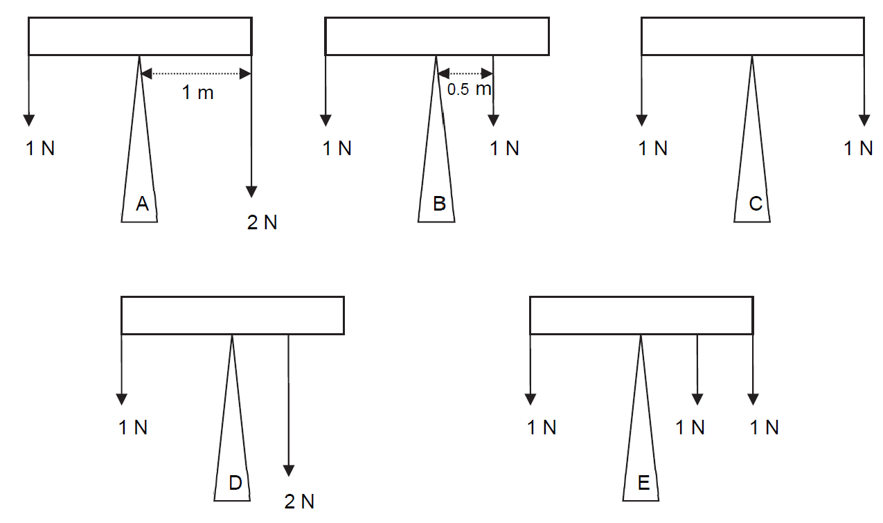 Solved All rulers are identical.What is the magnitude of the | Chegg.com