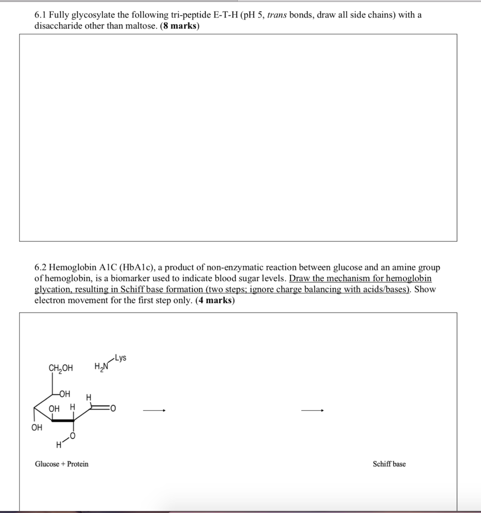 Solved 1.) Fully glycosylate the following tri-peptide E-T-H | Chegg.com