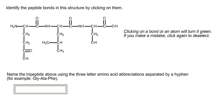 Tripeptide Bond