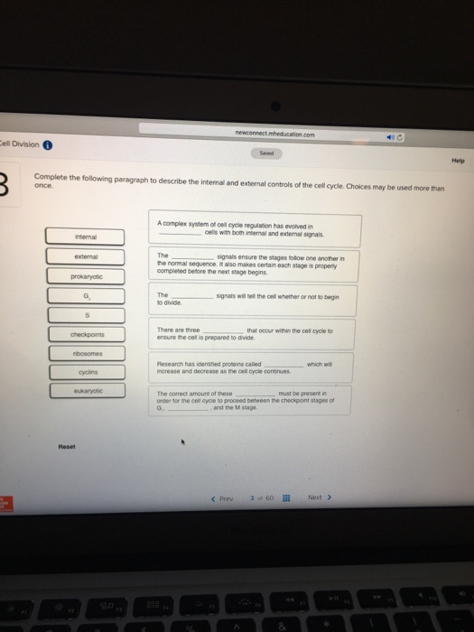 Solved ell Division Help Complete the following paragraph to | Chegg.com