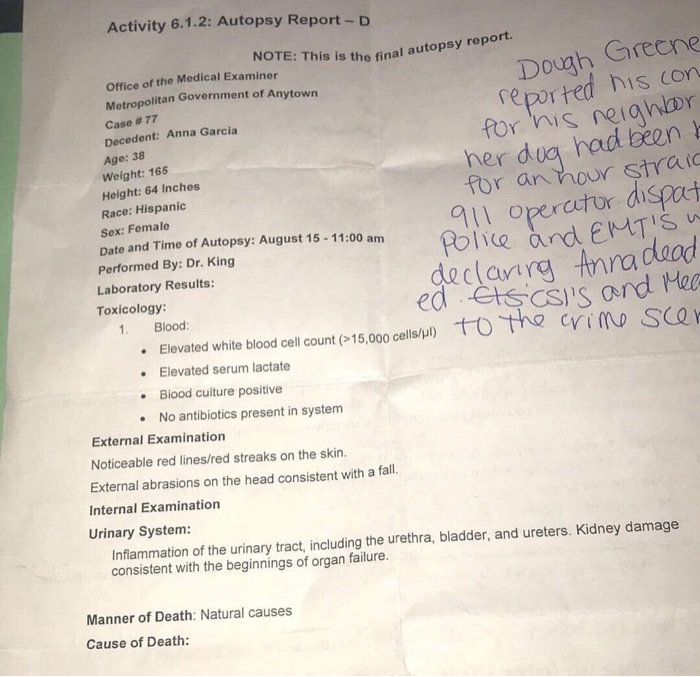 Solved Activity 6.1.2: Autopsy Report-D NOTE: This is the | Chegg.com