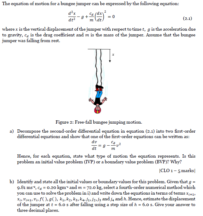 The equation of motion for a bungee jumper can be | Chegg.com