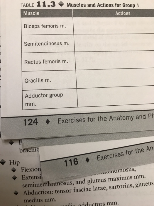 Solved TABLE 11.3 Muscles and Actions for Group 1 Muscle | Chegg.com