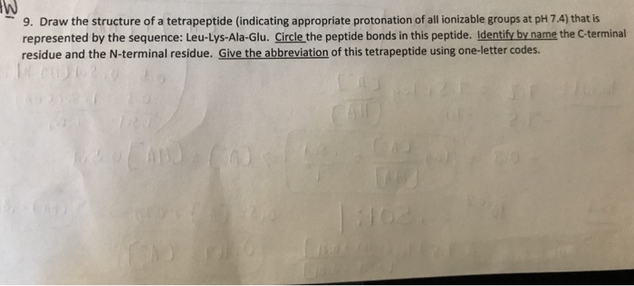 Solved 9. Draw the structure of a tetrapeptide (indicating | Chegg.com