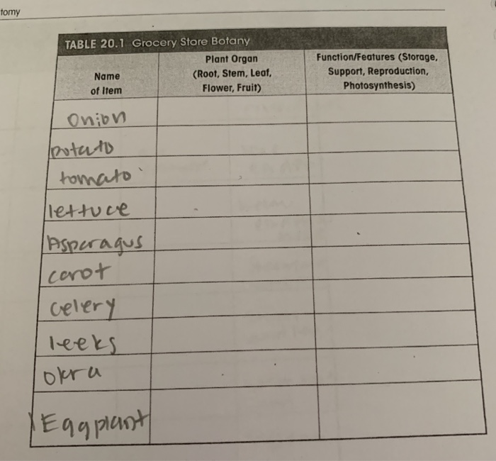 Solved tomy TABLE 20.1 Grocery Store Botany Plant Organ | Chegg.com
