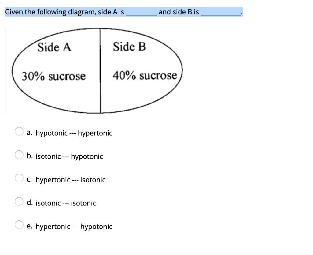 Solved Given the following diagram, side A isand side B is | Chegg.com