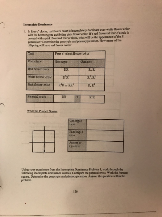 Solved Name: Biology 103 Laboratory Exercise- latroduction | Chegg.com