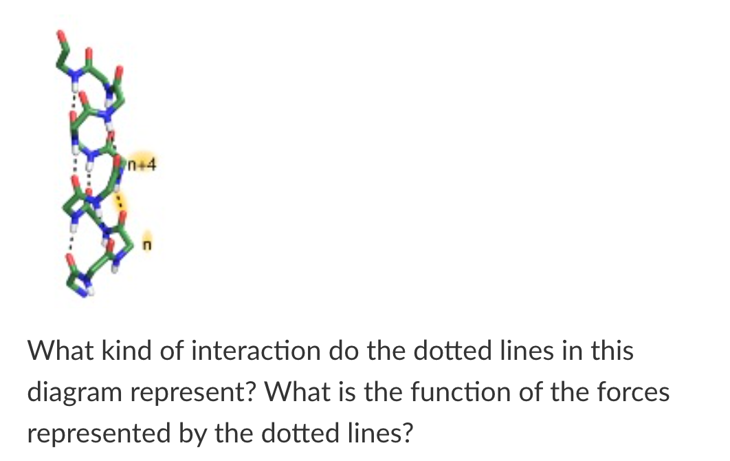 Solved What kind of interaction do the dotted lines in this | Chegg.com