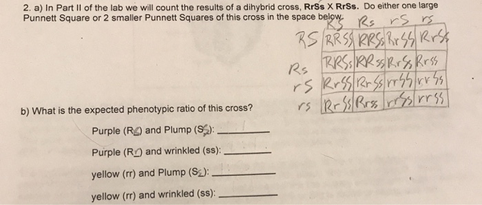Solved 2. a) In Part II of the lab we will count the results | Chegg.com
