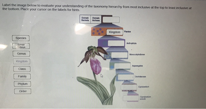 Solved Label the image below to evaluate your understanding | Chegg.com