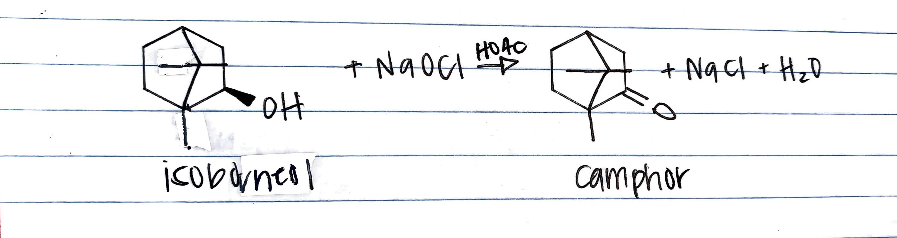 Solved + - 2 NaOG HOAC + NaCl + H₂O t ot icobinaal camphor | Chegg.com