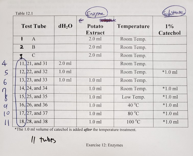 Solved abstrate Table 12.1 dH2O Test Tube Potato Temperature | Chegg.com