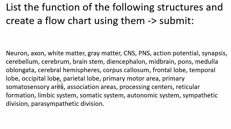 Solved List the function of the following structures and | Chegg.com