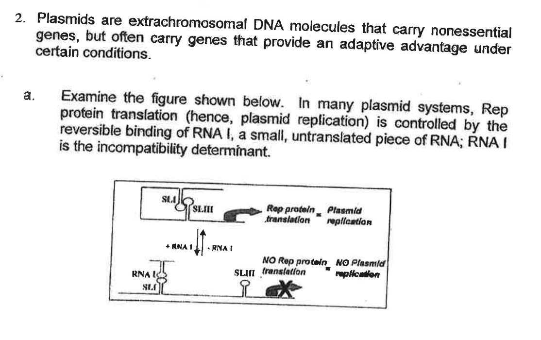 2. Plasmids are extrachromosomal DNA molecules that | Chegg.com