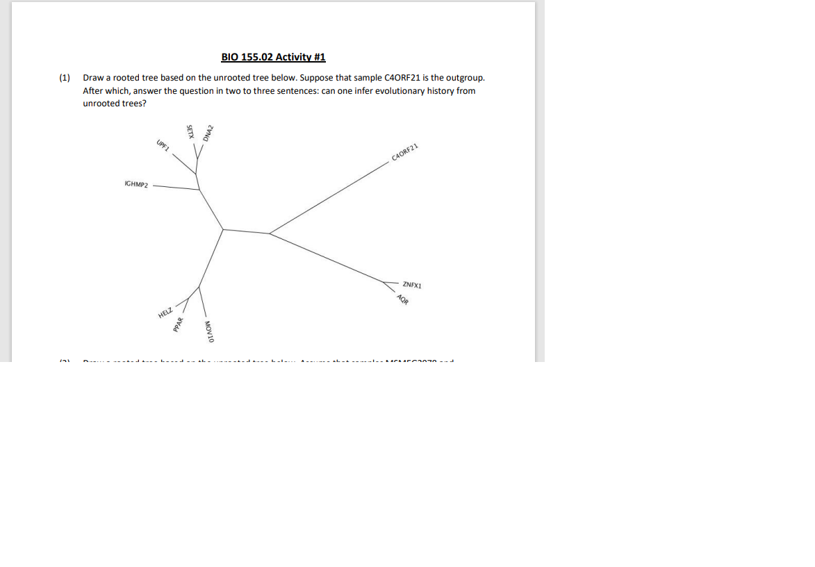Solved (1) Draw a rooted tree based on the unrooted tree | Chegg.com